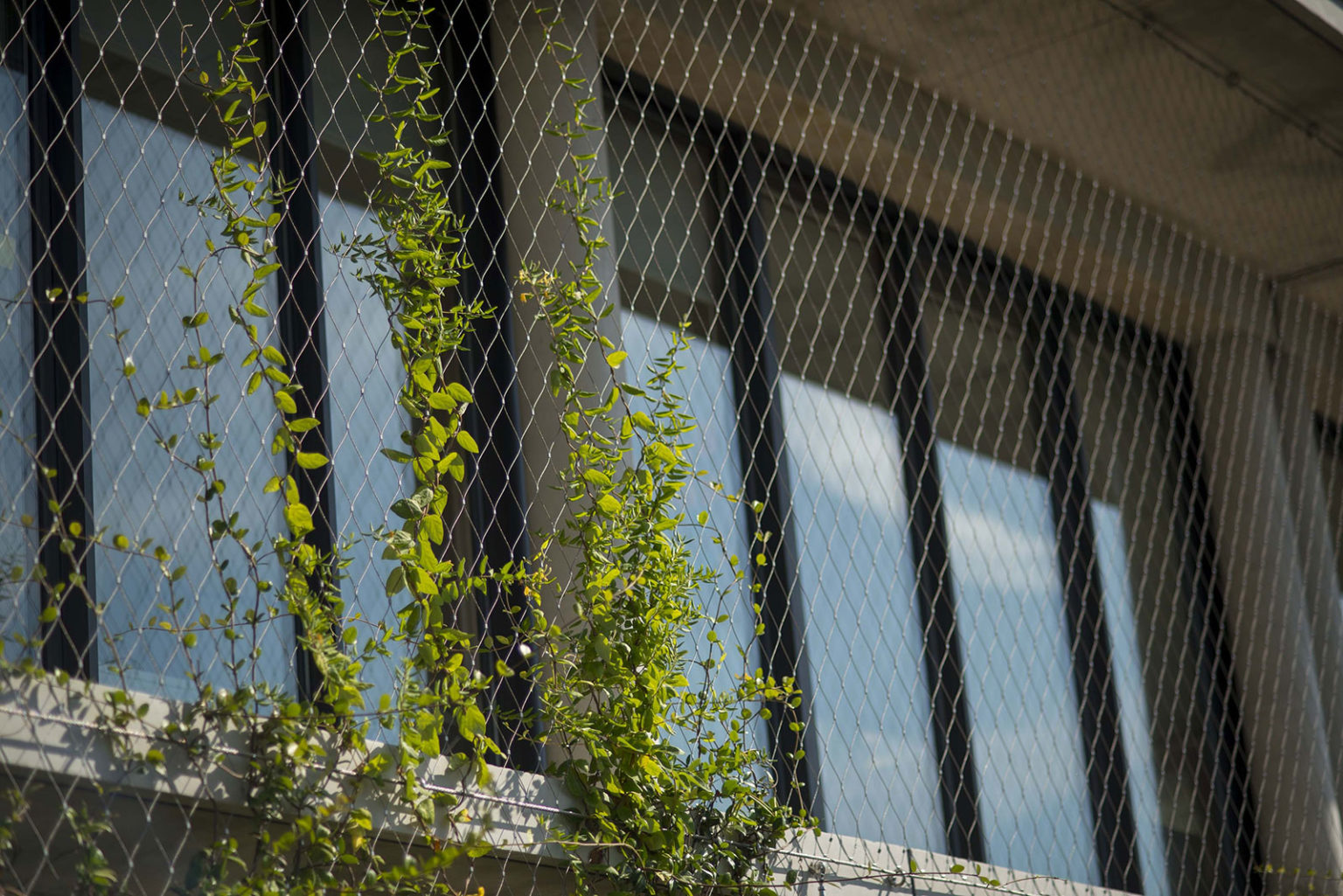 Bau architectes – Architecture engagée